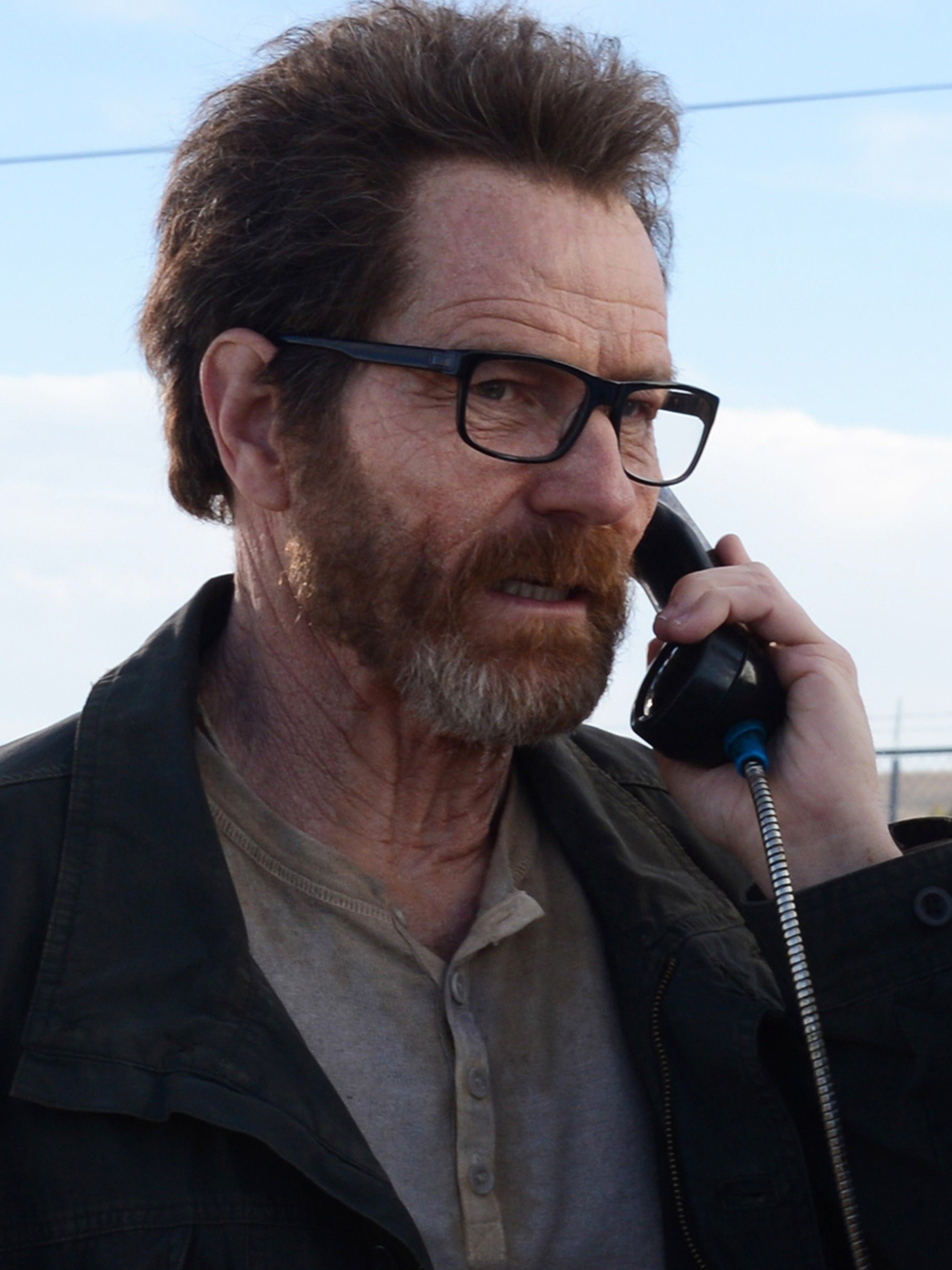 Felina Pictures - Rotten Tomatoes