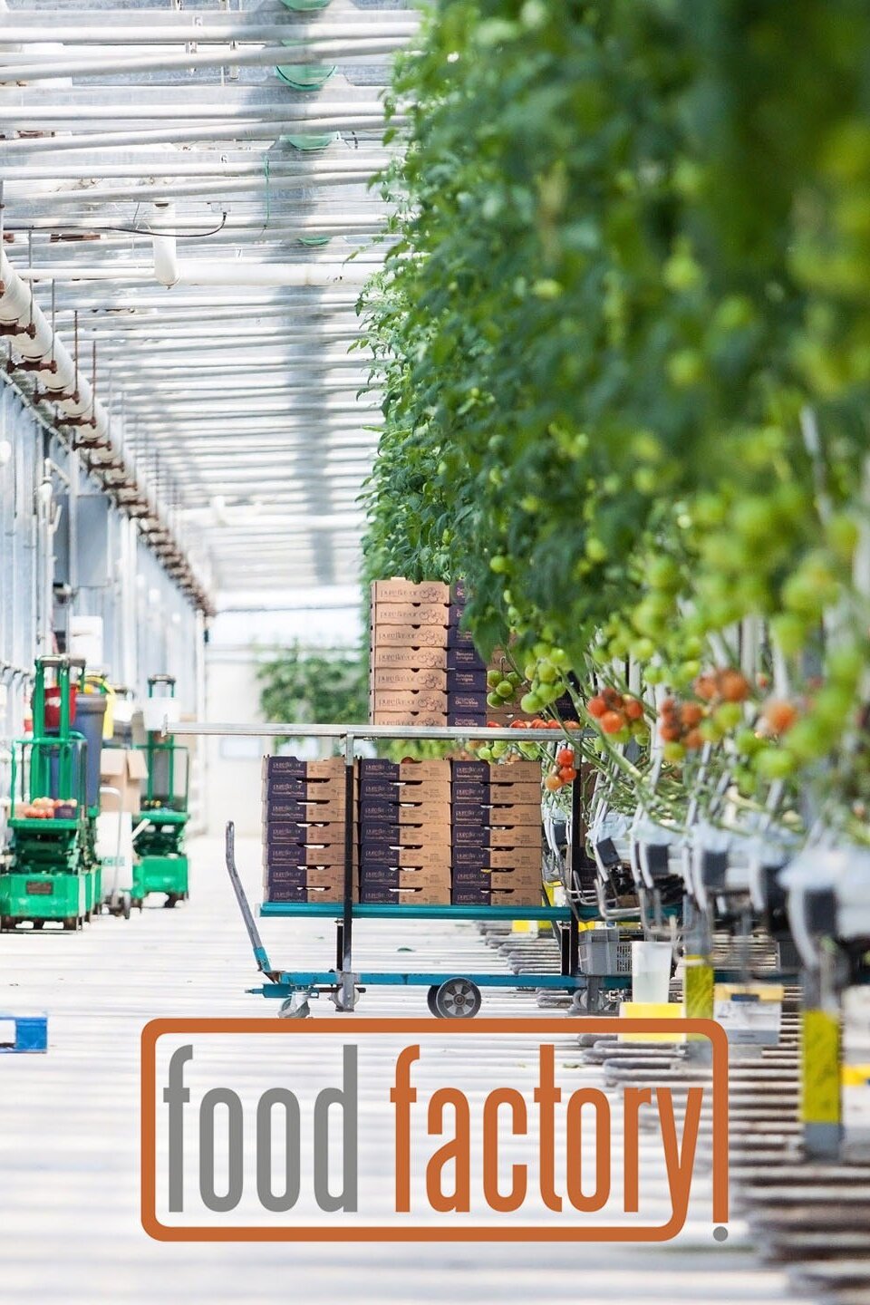 Food Factory - Rotten Tomatoes