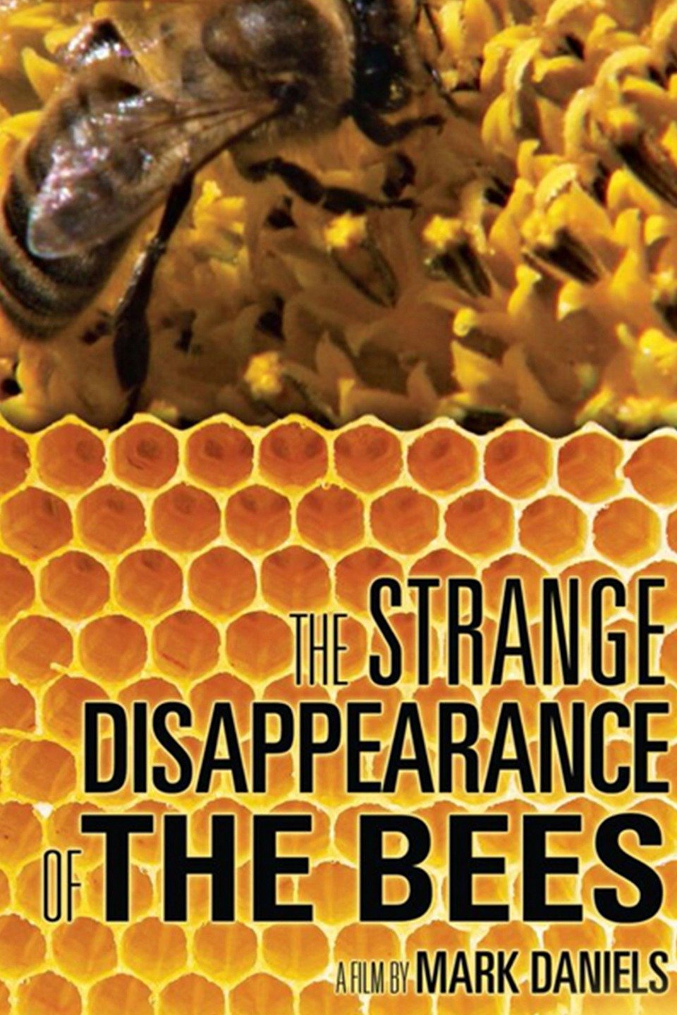 The Strange Disappearance of the Bees - Rotten Tomatoes