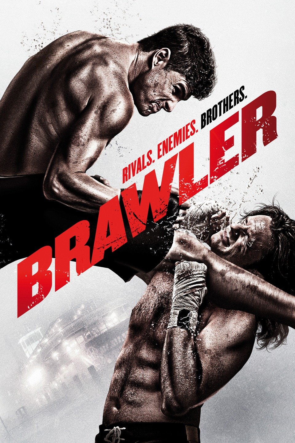 Brawler - Rotten Tomatoes