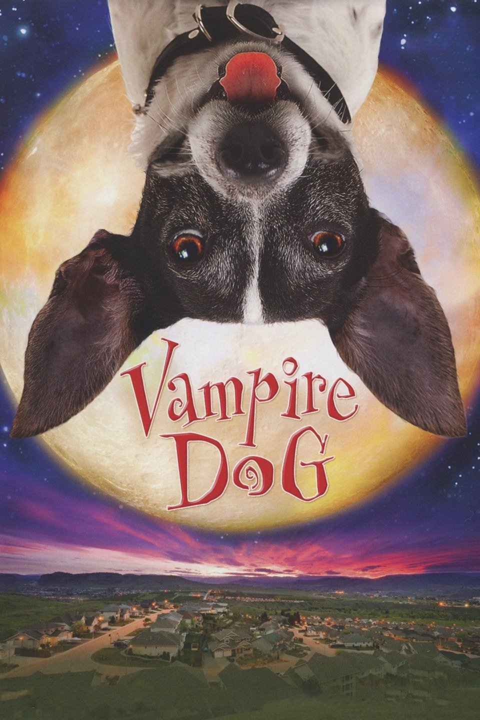Vampire Dog - Rotten Tomatoes