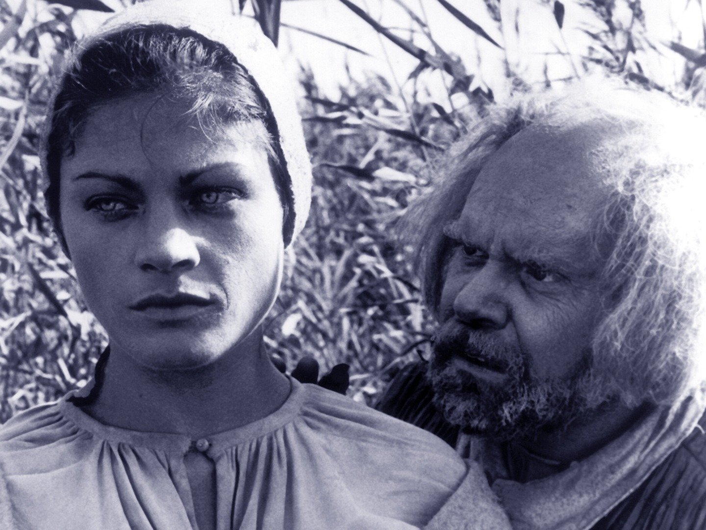 The Scarlet Letter Movie 1979