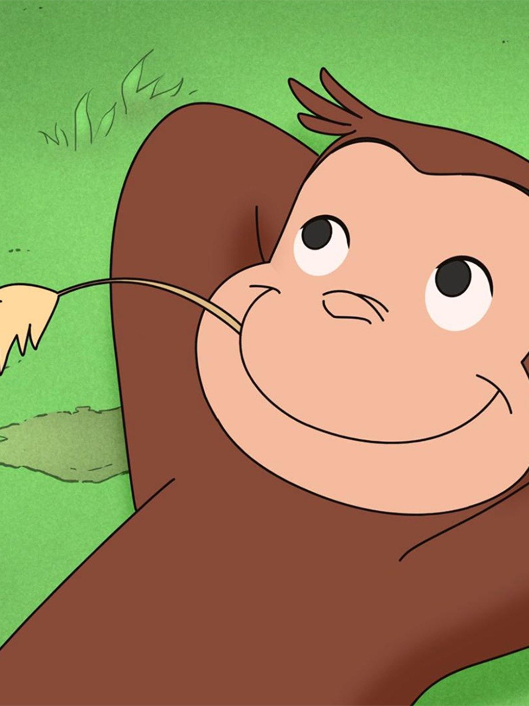 Curious George Monkey Down Under
