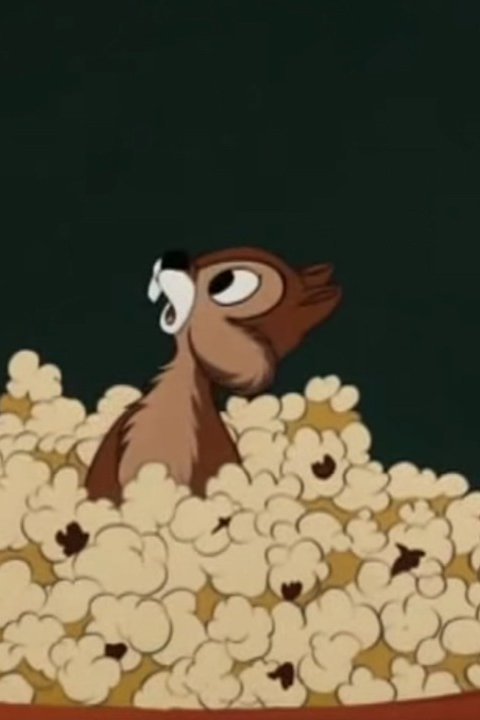 Corn Chips Pictures - Rotten Tomatoes