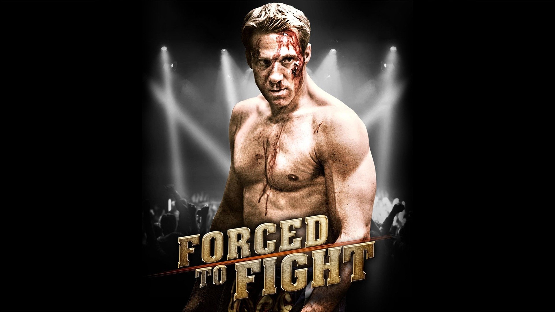 Fighting Movies 2011