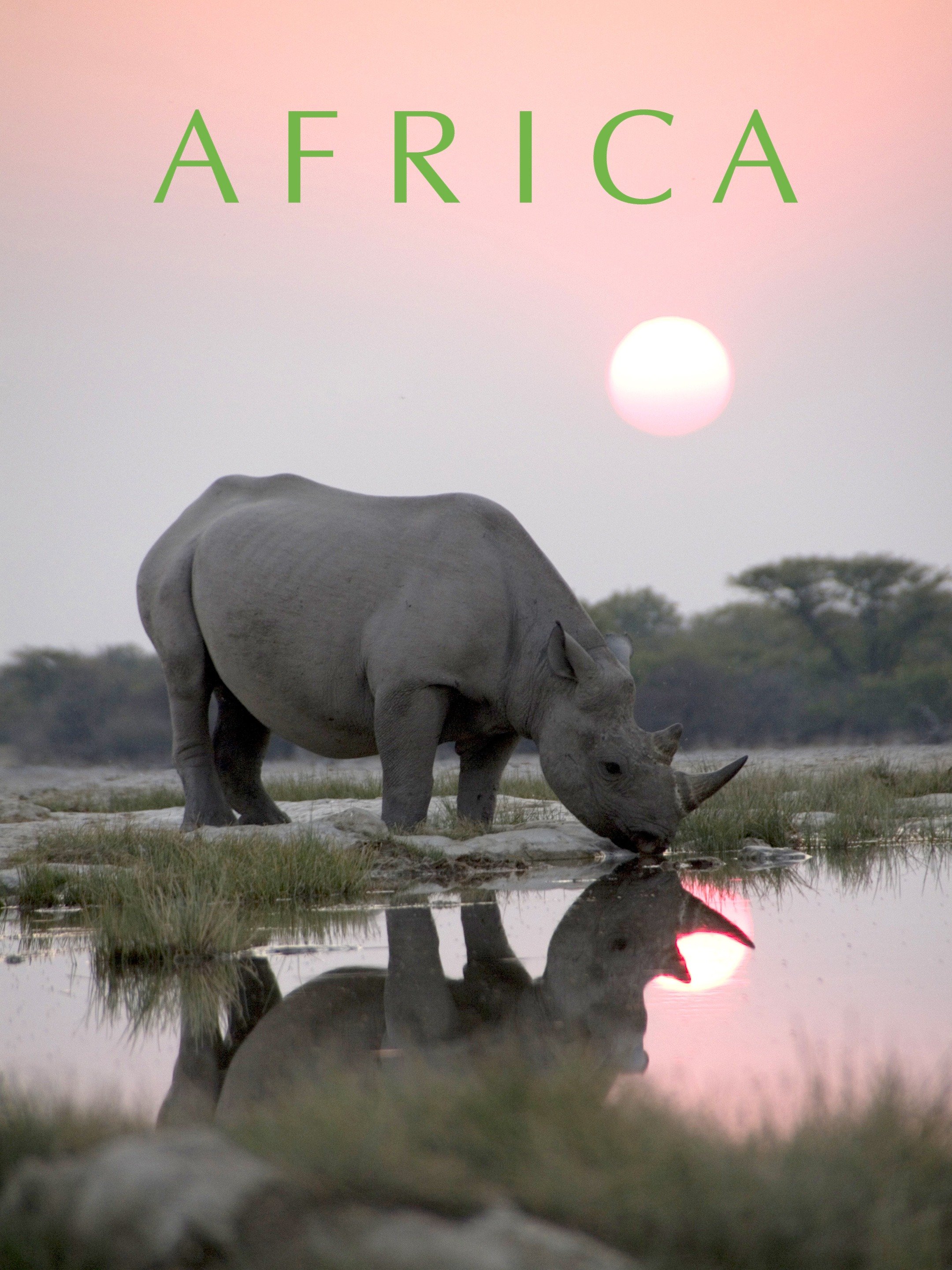 Africa - Rotten Tomatoes