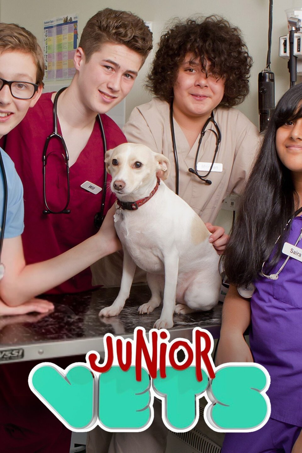 Junior Vets - Rotten Tomatoes