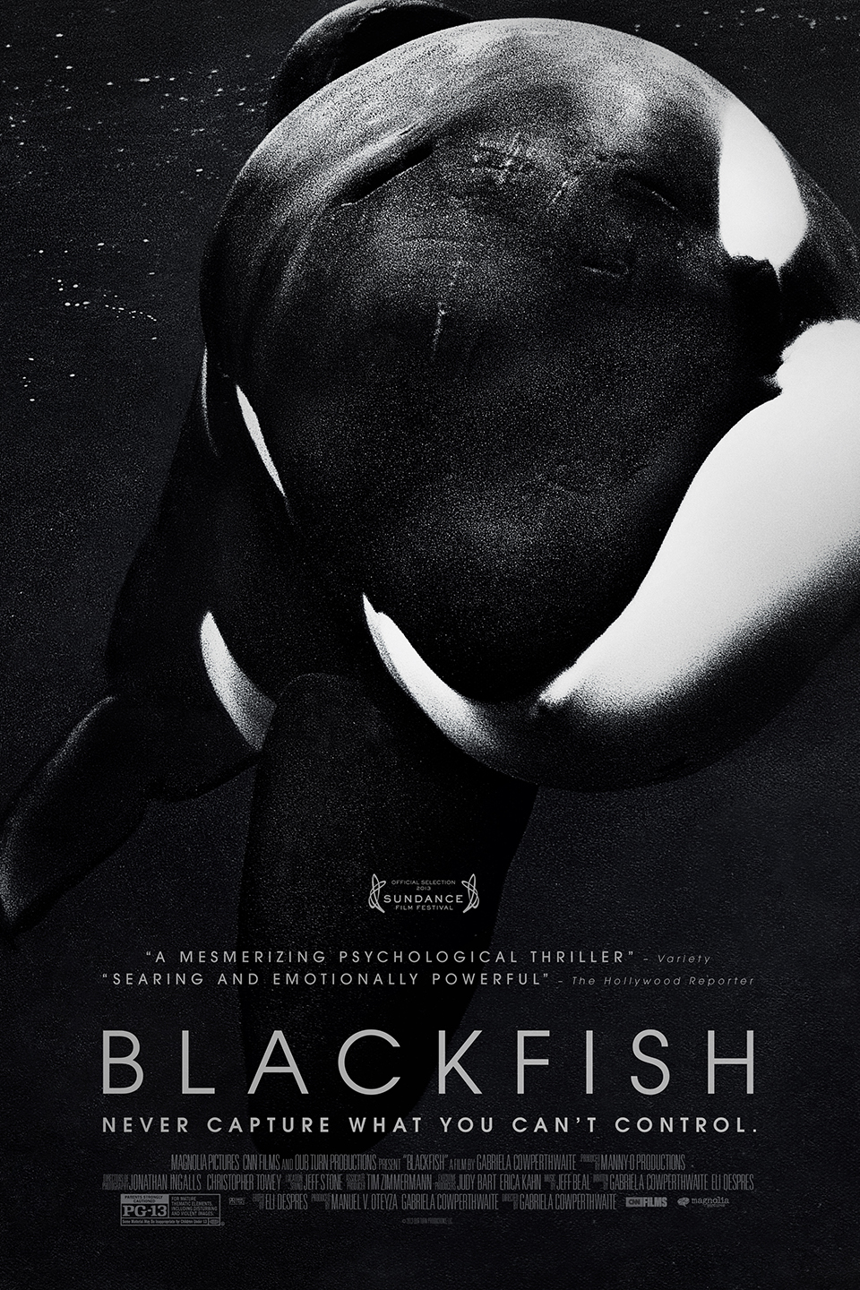 Blackfish - Rotten Tomatoes