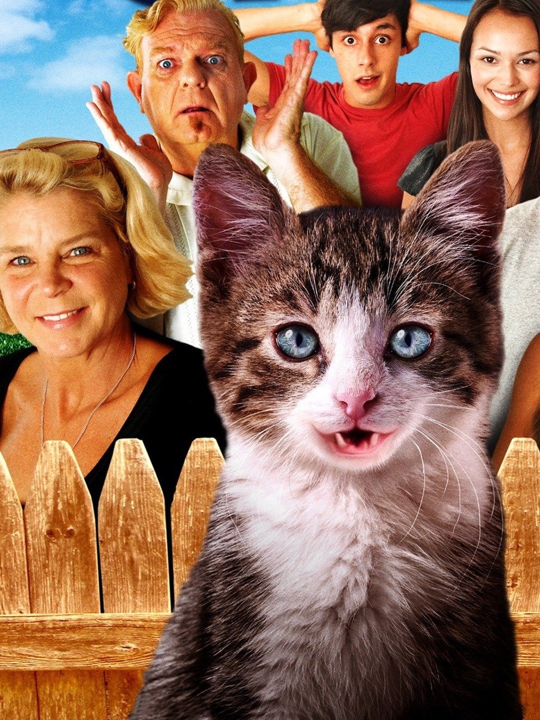 A Talking Cat Movie