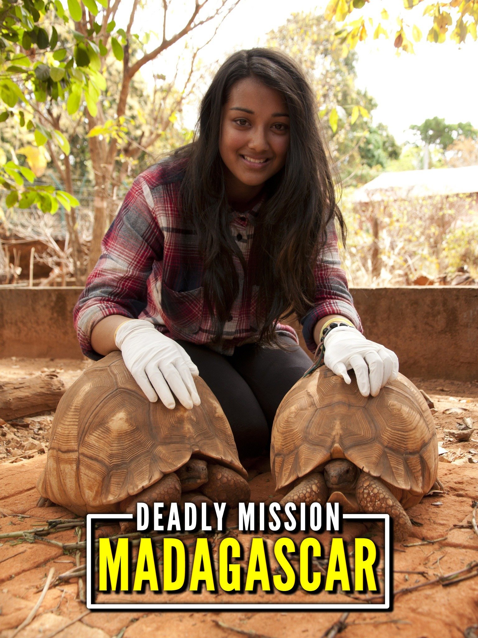 Deadly Mission Madagascar Pictures - Rotten Tomatoes
