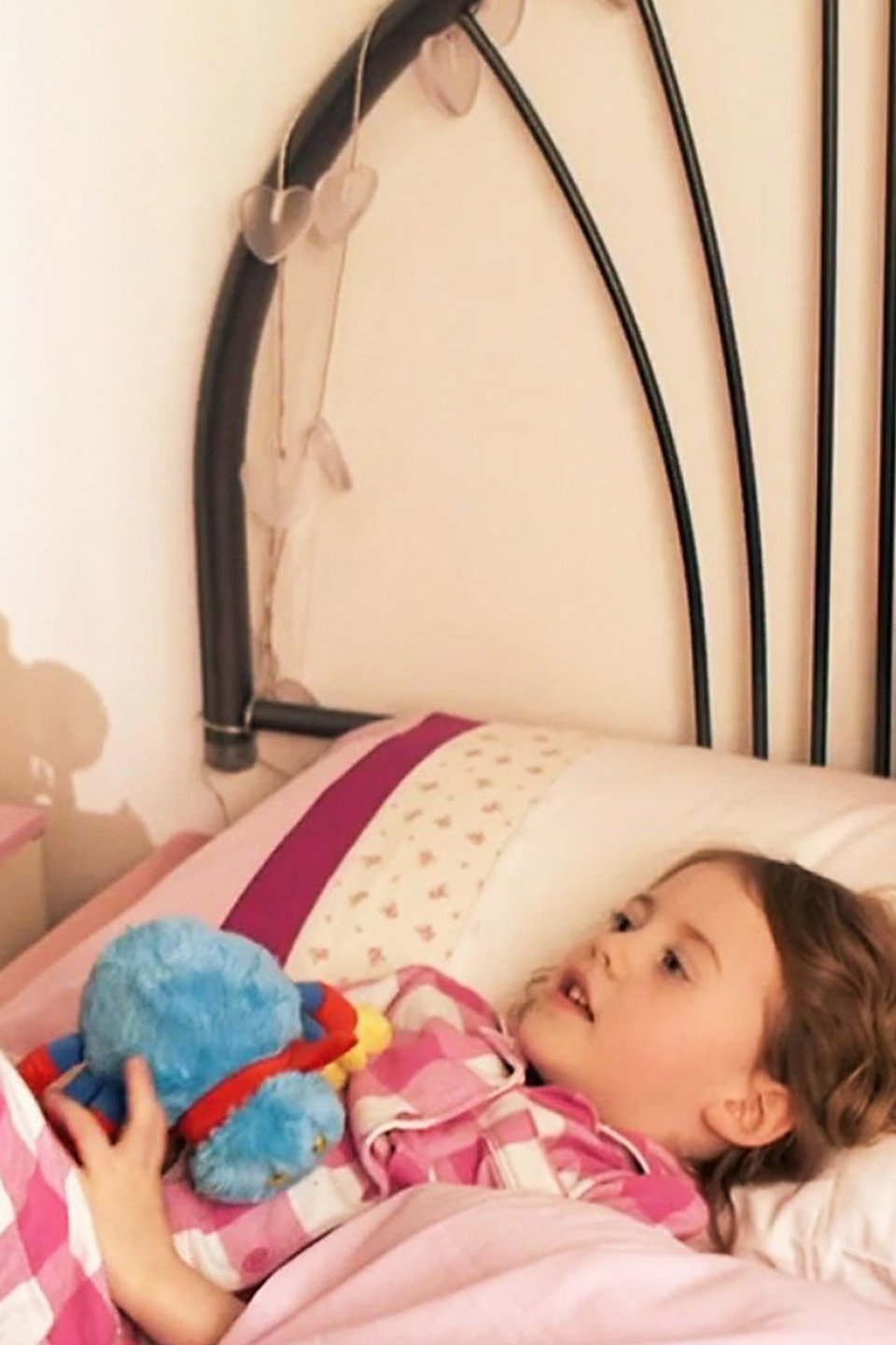 Fussy Pictures - Rotten Tomatoes