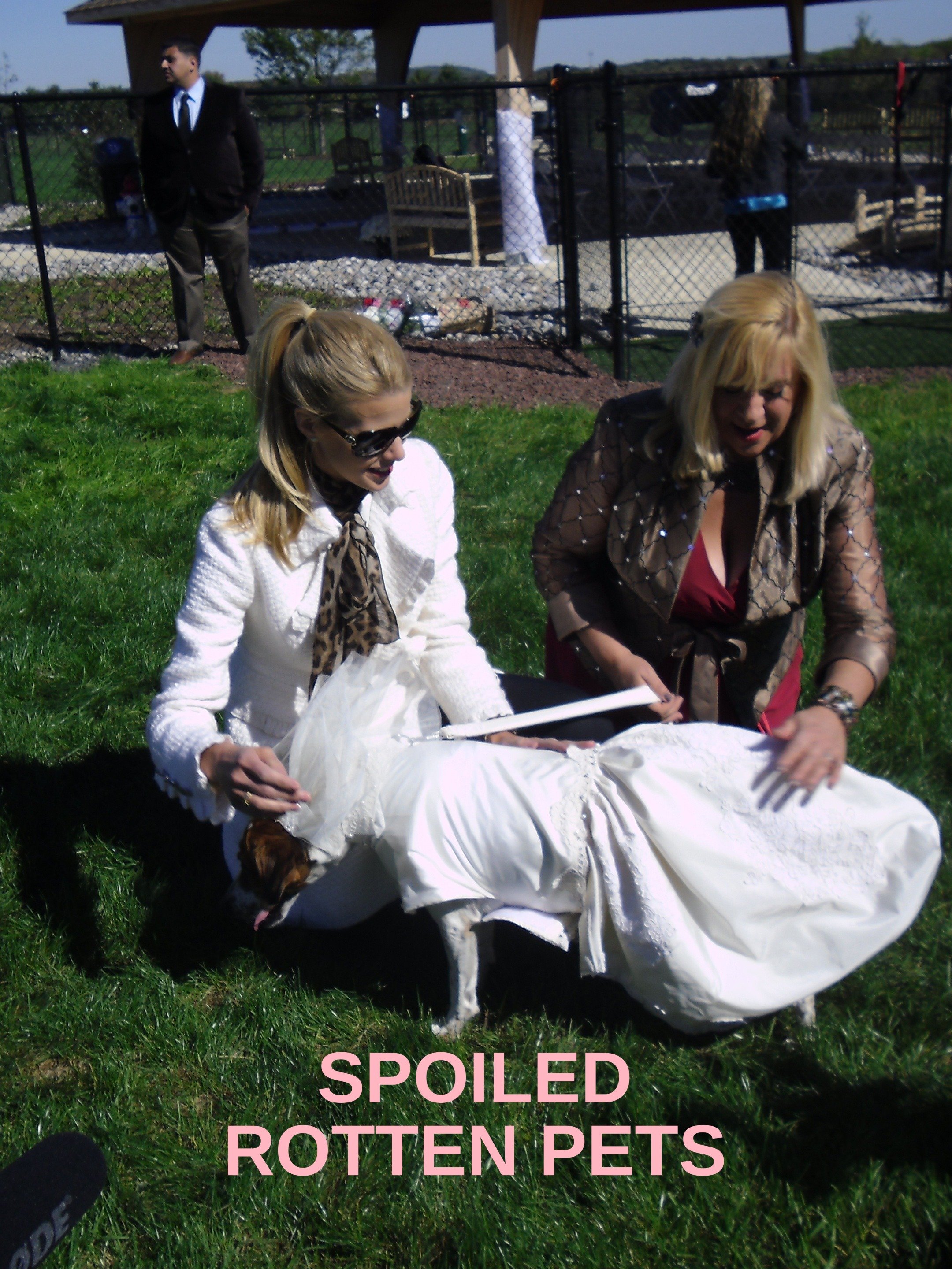 Spoiled Rotten Pets - Rotten Tomatoes