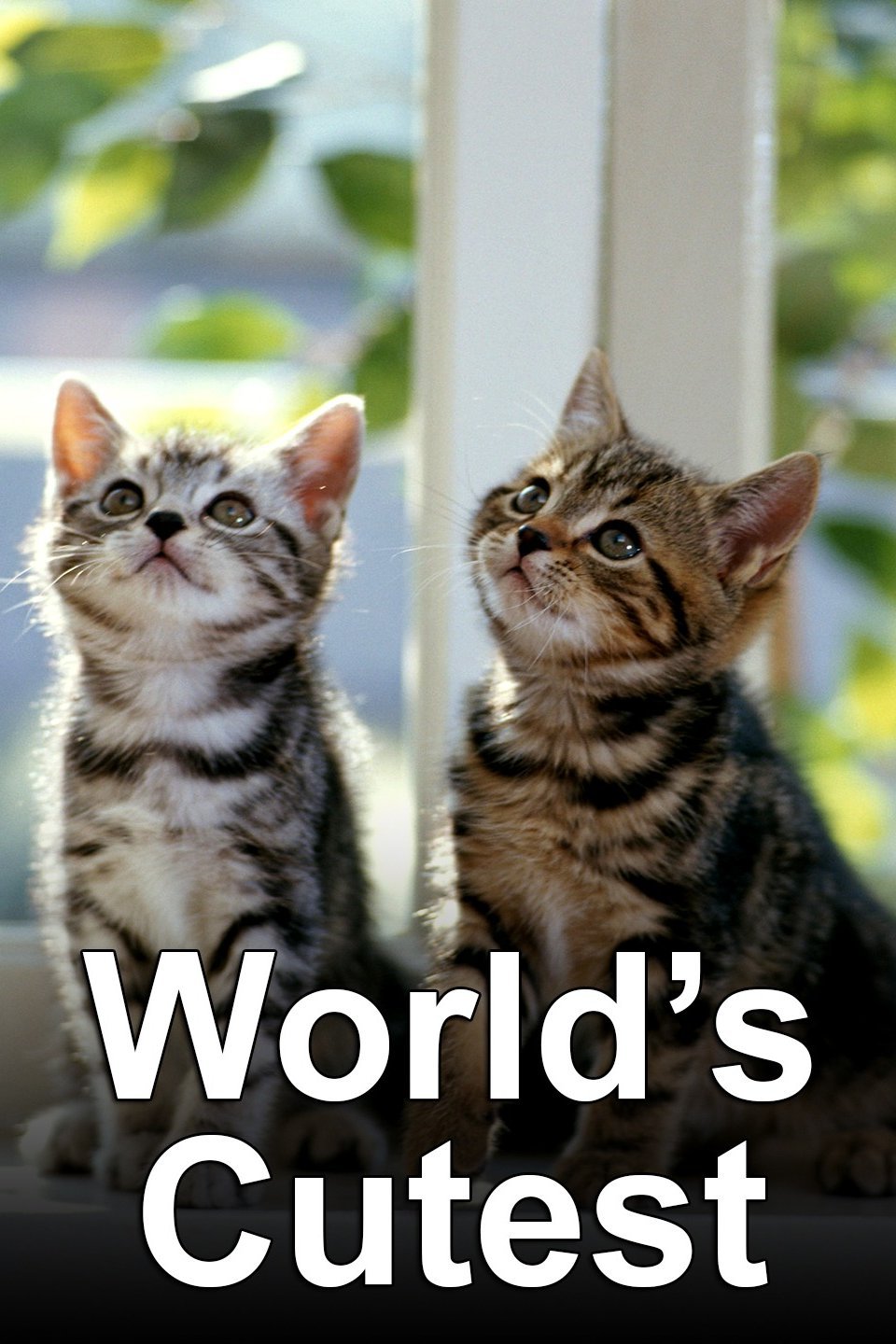 World's Cutest - Rotten Tomatoes